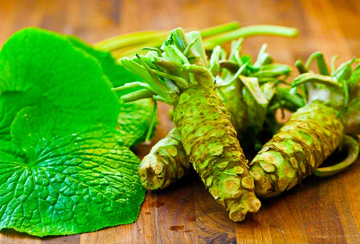 WASABI JE HIT NEJEN U NÁS - Zahrádkářův rok