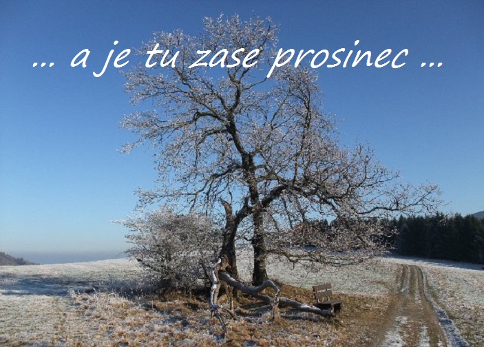 PROSIEŃ – PROSINIEC – PROSINEC - Zahrádkářův rok