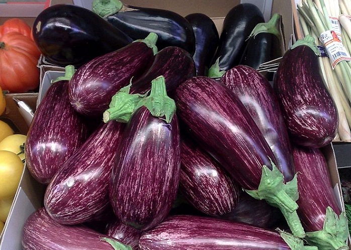 lilek2a - Zahrádkářův rok